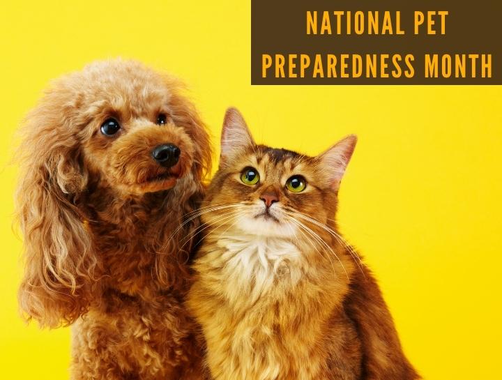 National Pet Preparedness Month | Kenhaven Animal Hospital